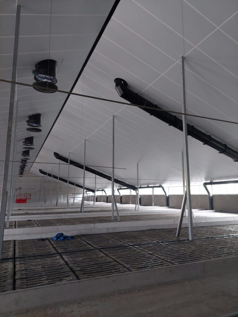 Project in the spotlight: Ventilation in a calf house - Scan-Air