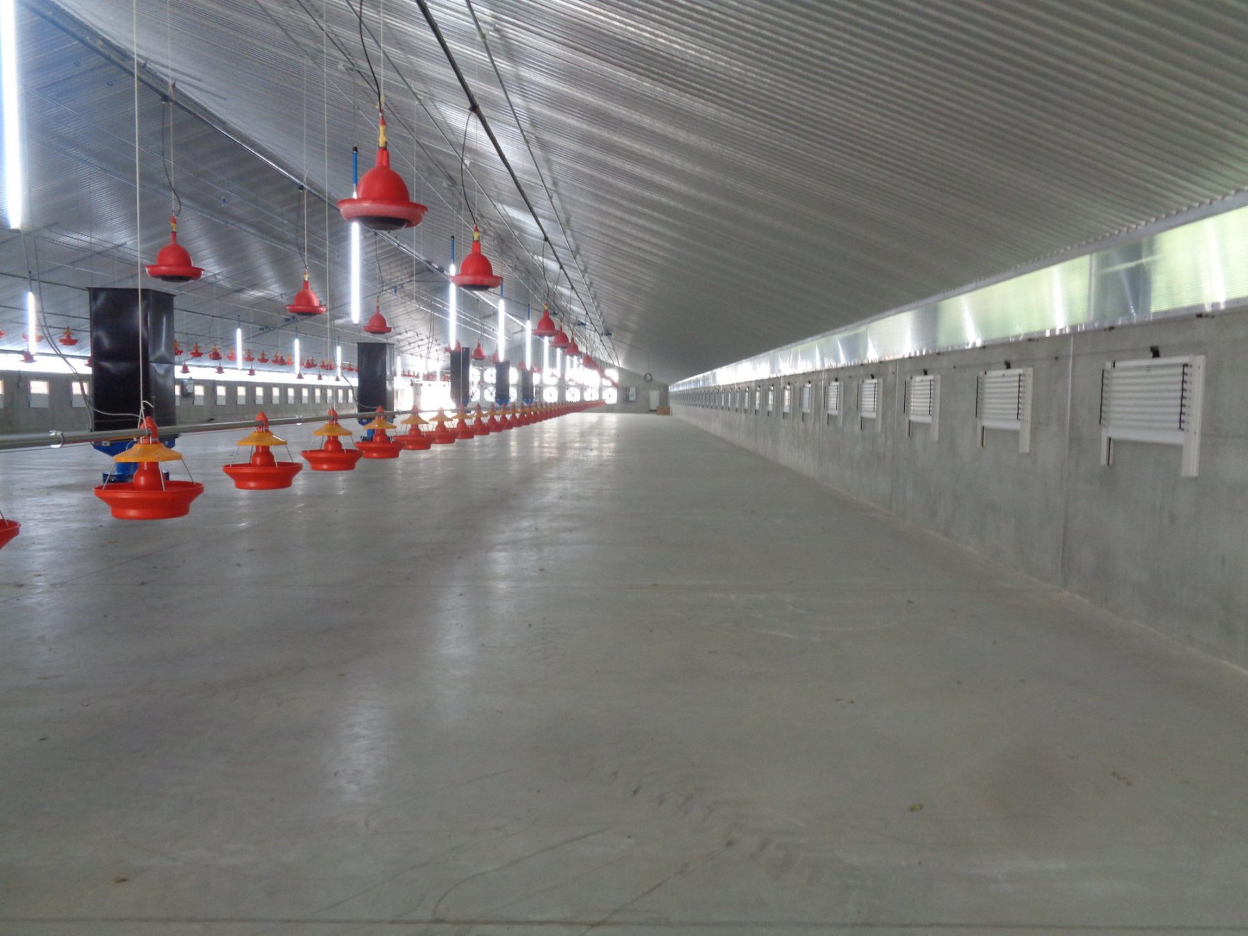 Poultry - Scan-Air | An optimal climate in your poultry barn